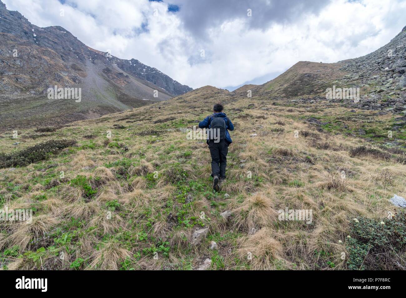 Chitkul Village Trek, Himachal Pradesh Stock Photo - Alamy