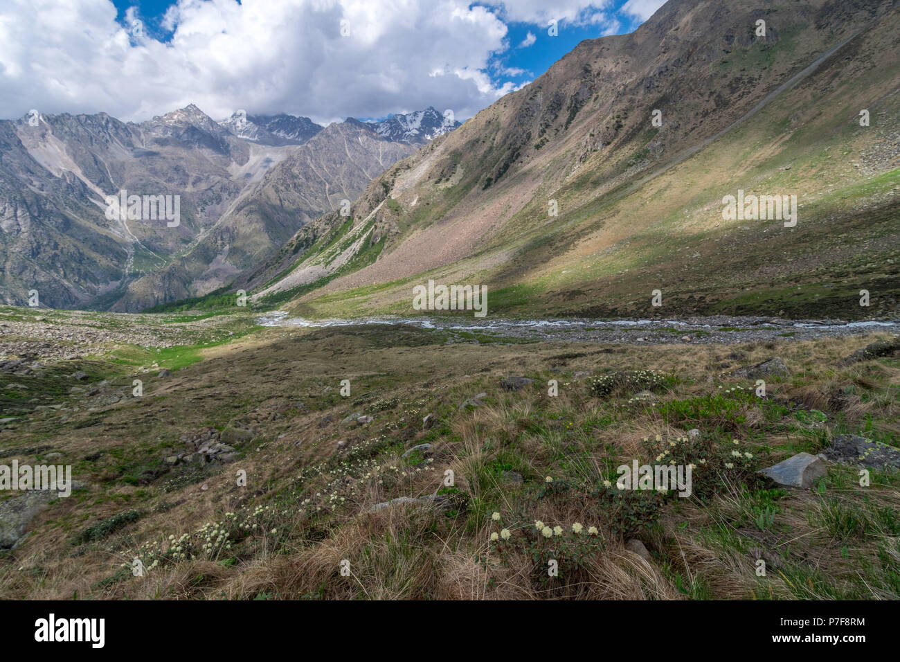 Chitkul Village Trek, Himachal Pradesh Stock Photo - Alamy