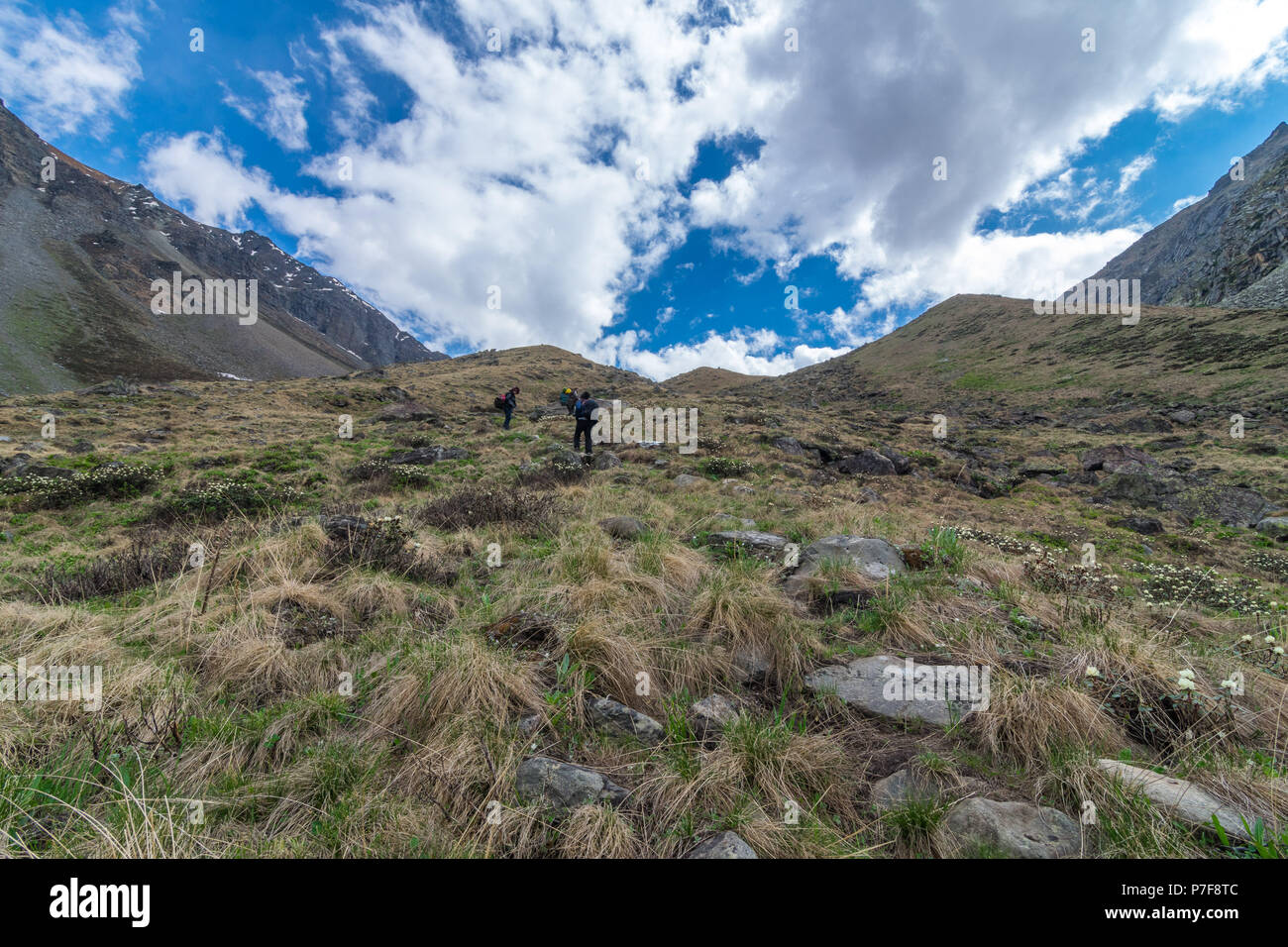 Chitkul Village Trek, Himachal Pradesh Stock Photo - Alamy