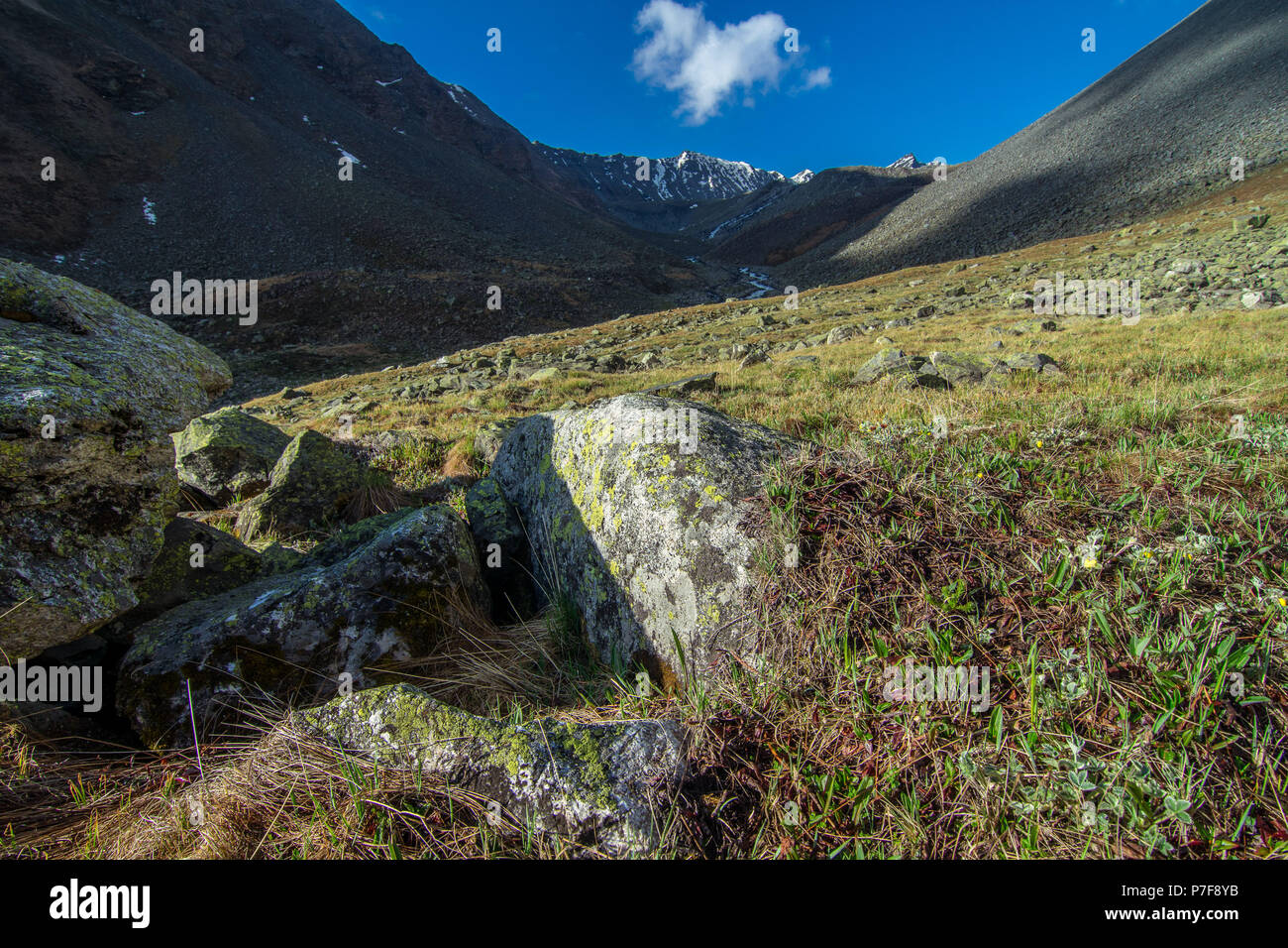 Landscape scenery chitkul village hi-res stock photography and images ...