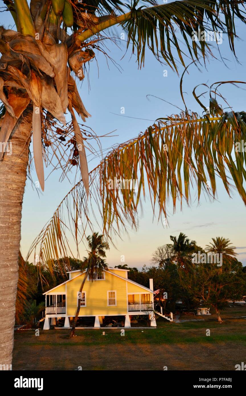 Conch architecture hi-res stock photography and images - Alamy