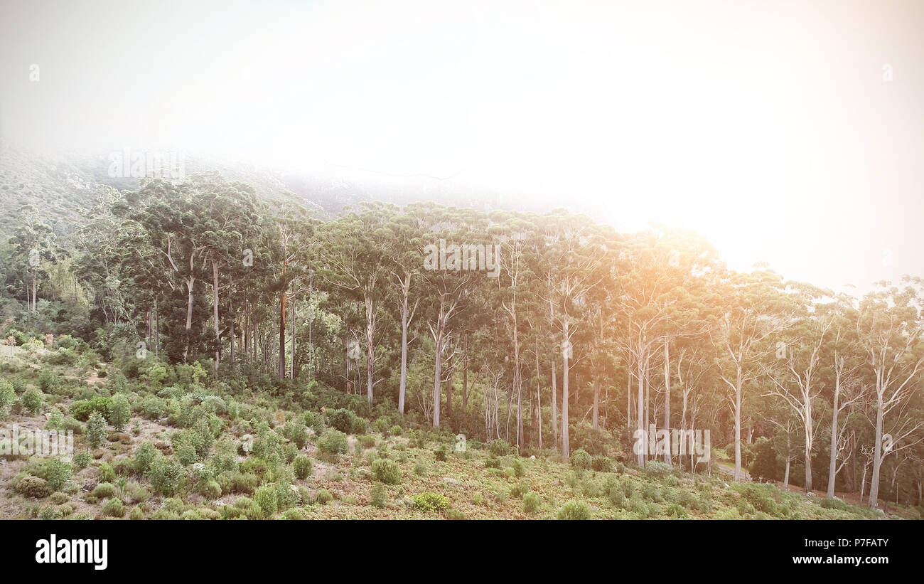 Sunset sunbeams hi-res stock photography and images - Alamy