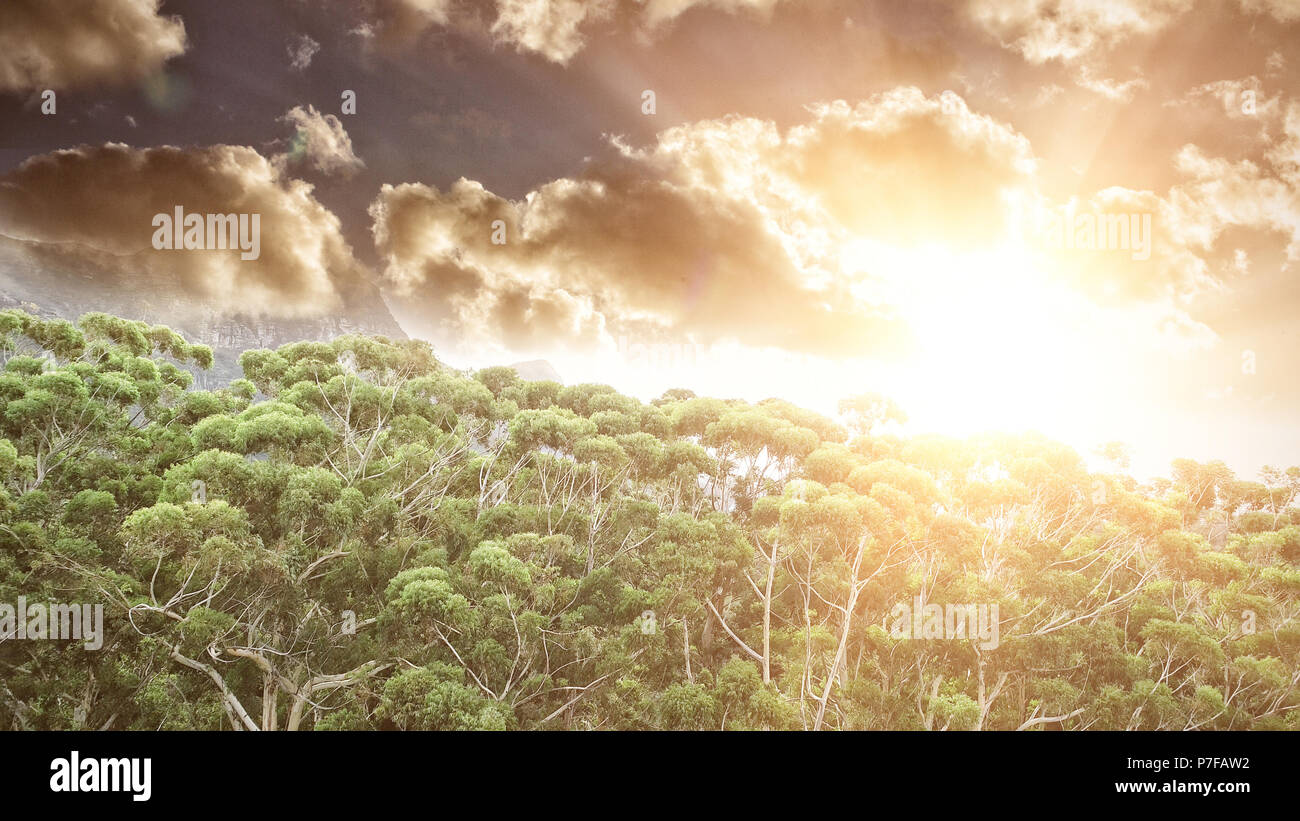 Sunset sunbeams hi-res stock photography and images - Alamy