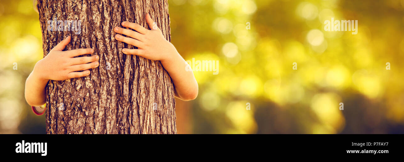 Little boy in the park hugging tree Stock Photo - Alamy