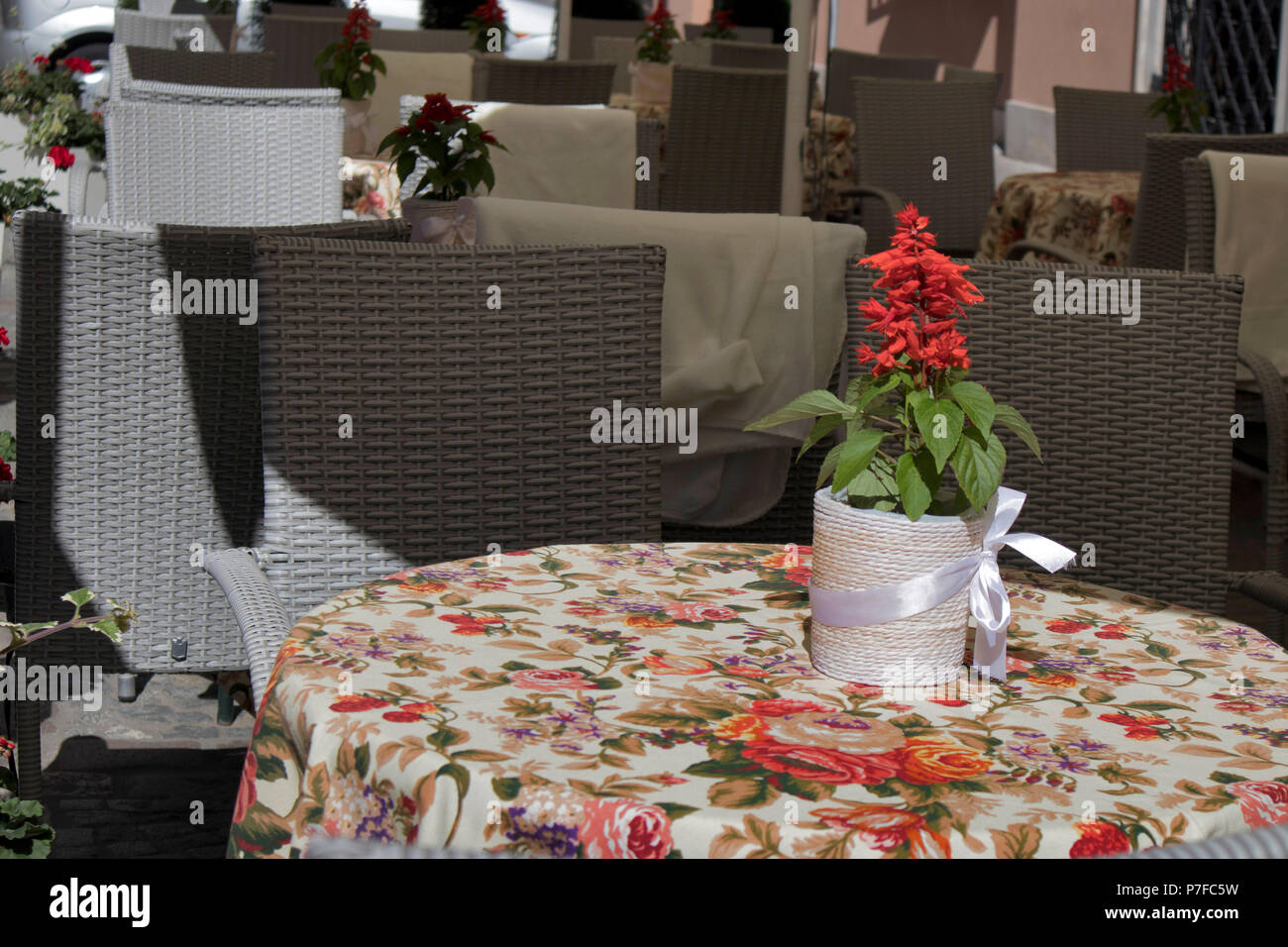 Downtownm flower hi-res stock photography and images - Alamy