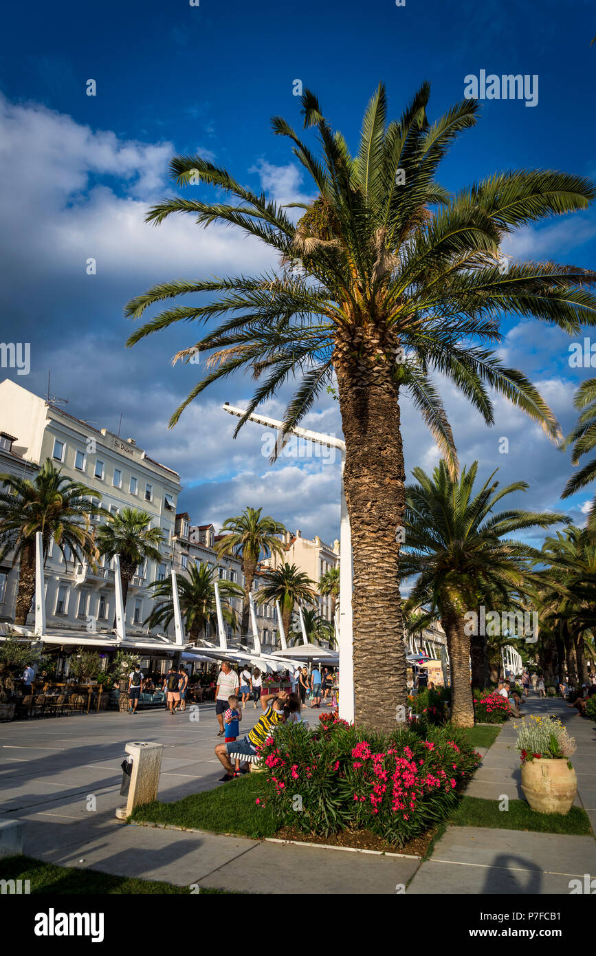 Riva, a seaside promenade lined with palm trees and cafes and ...