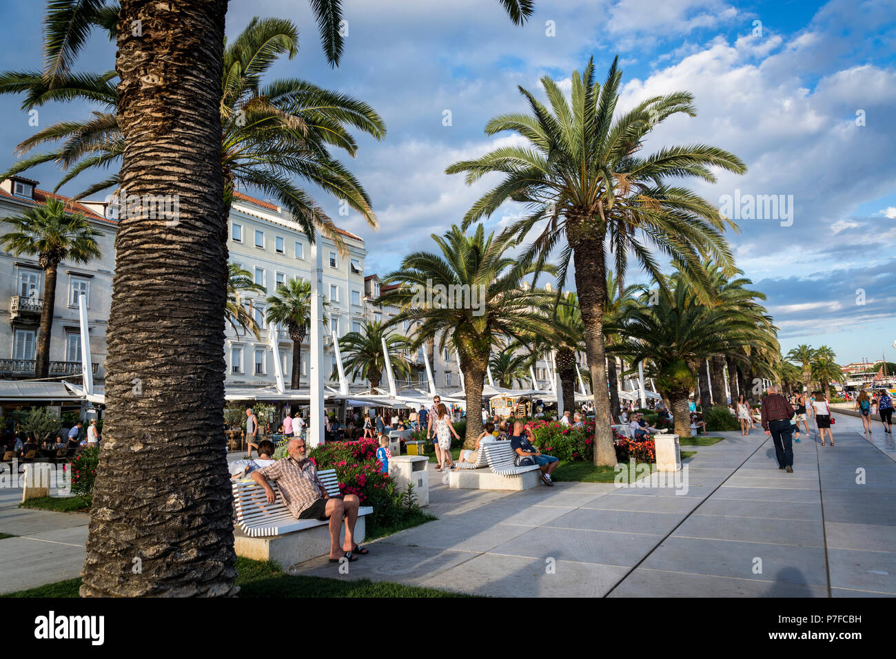Riva, a seaside promenade lined with palm trees and cafes and ...