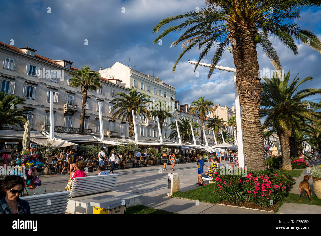 Riva, a seaside promenade lined with palm trees and cafes and ...