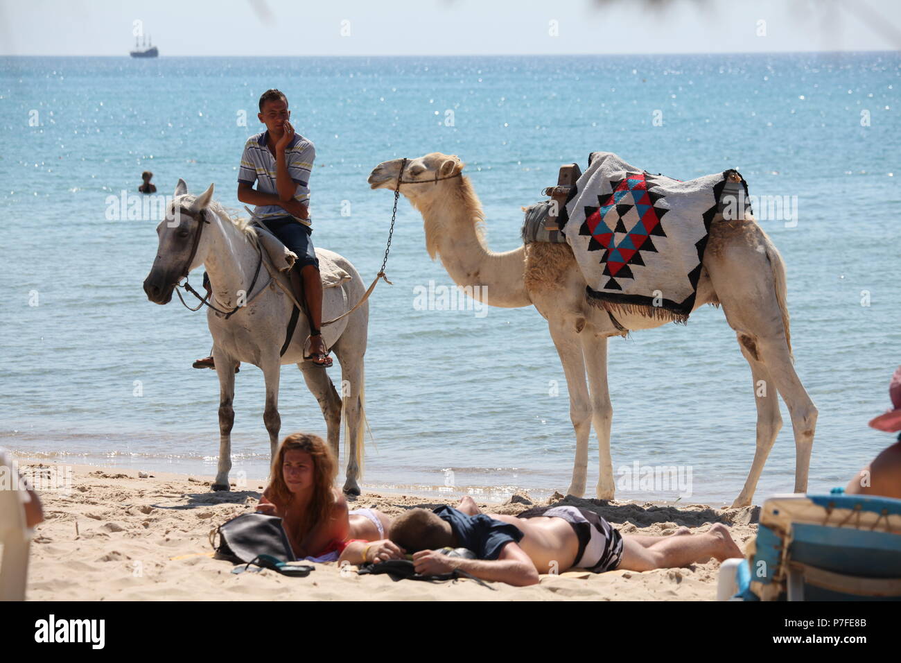 Tunisian horse rider with harnessed camel is waiting for clients on a beach in Hammamet on the ...