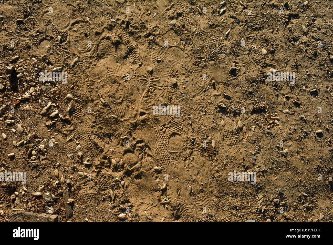 Trail foot print footprint sand hi-res stock photography and images - Alamy