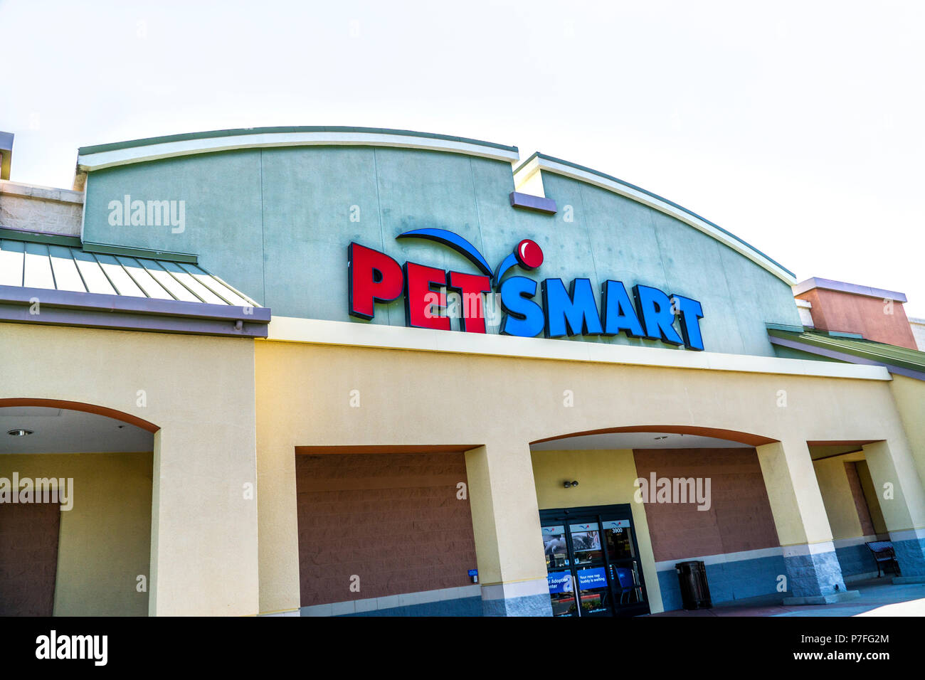Petsmart bird hi-res stock photography and images - Alamy