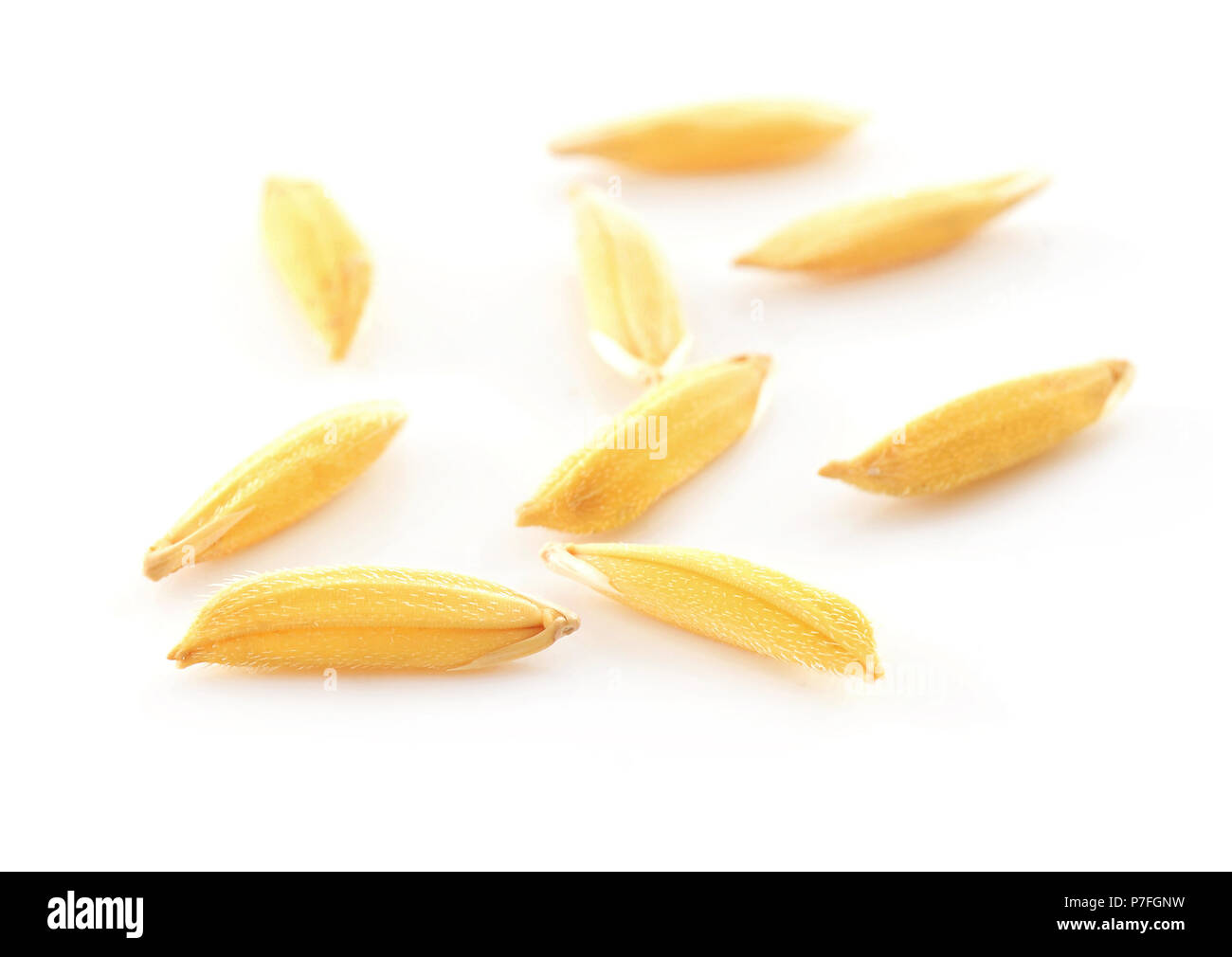 rice grains isolated on white Stock Photo - Alamy
