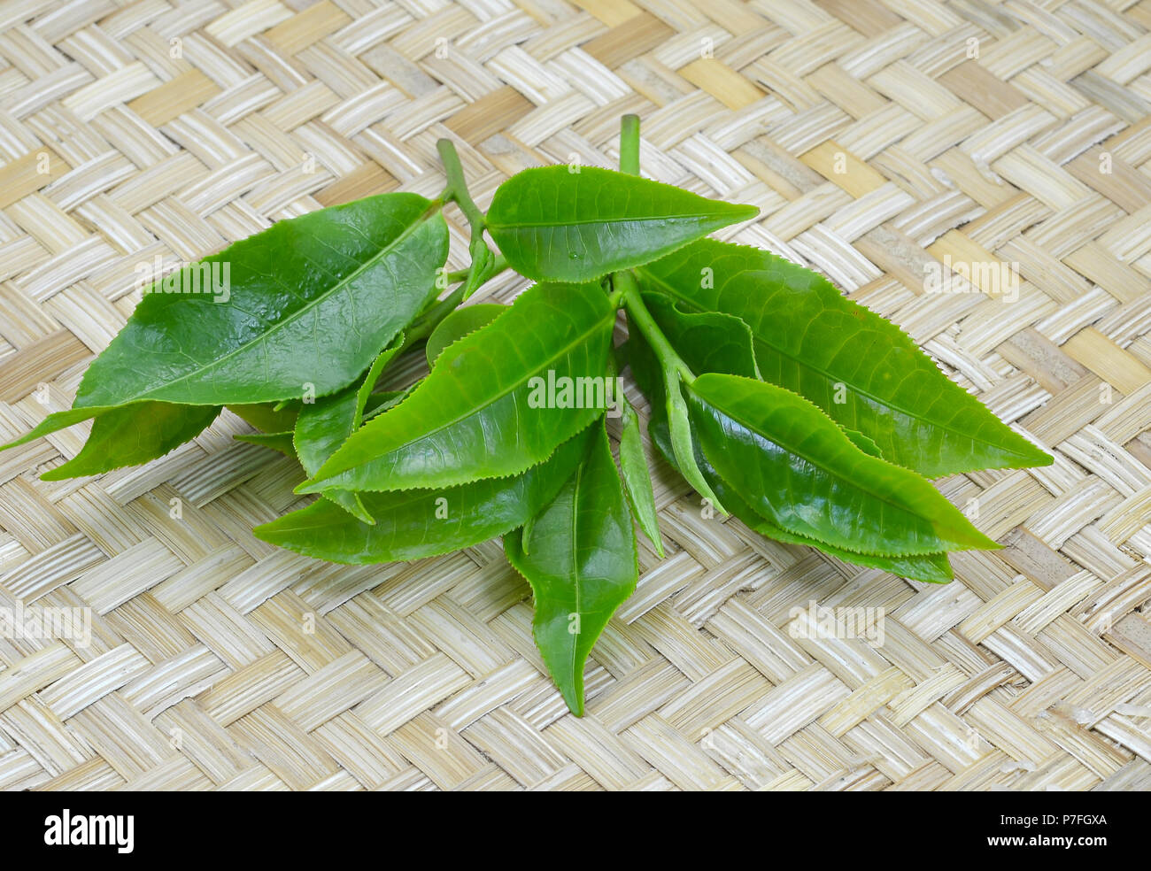 Minty texture hi-res stock photography and images - Alamy