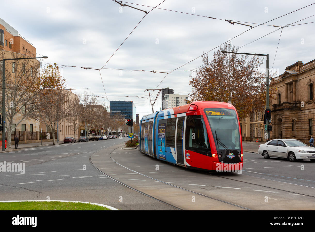 Adelaide tram hi-res stock photography and images - Alamy
