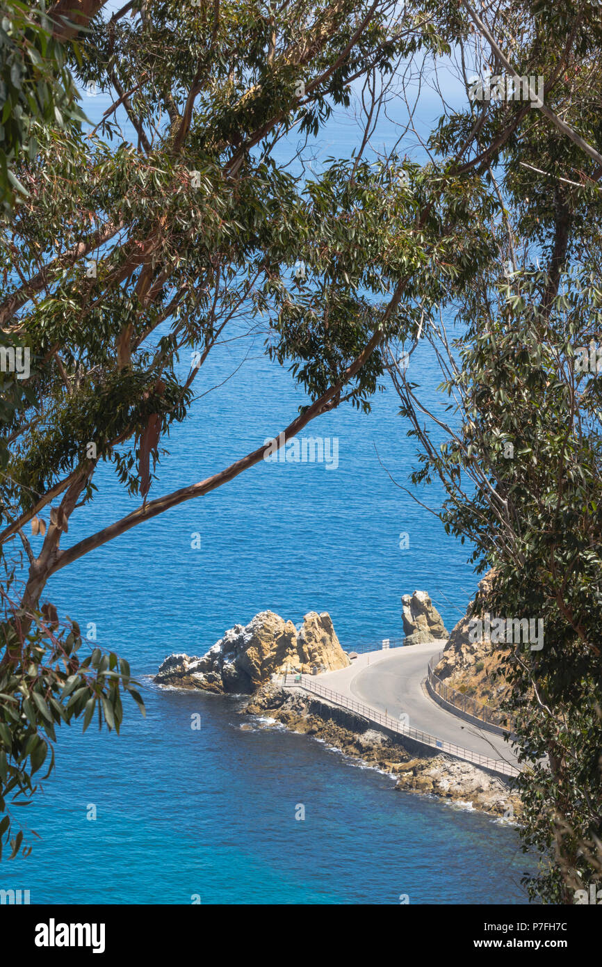 The bend in a lonely road at Lover's Cove on Catalina Island resort ...