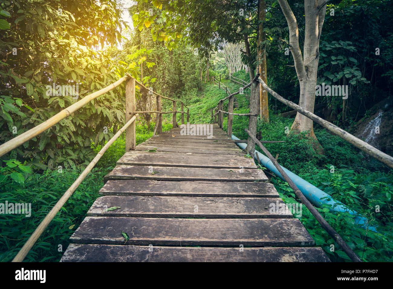 Forest hiking path wooden bridge in vintage flair background Stock ...