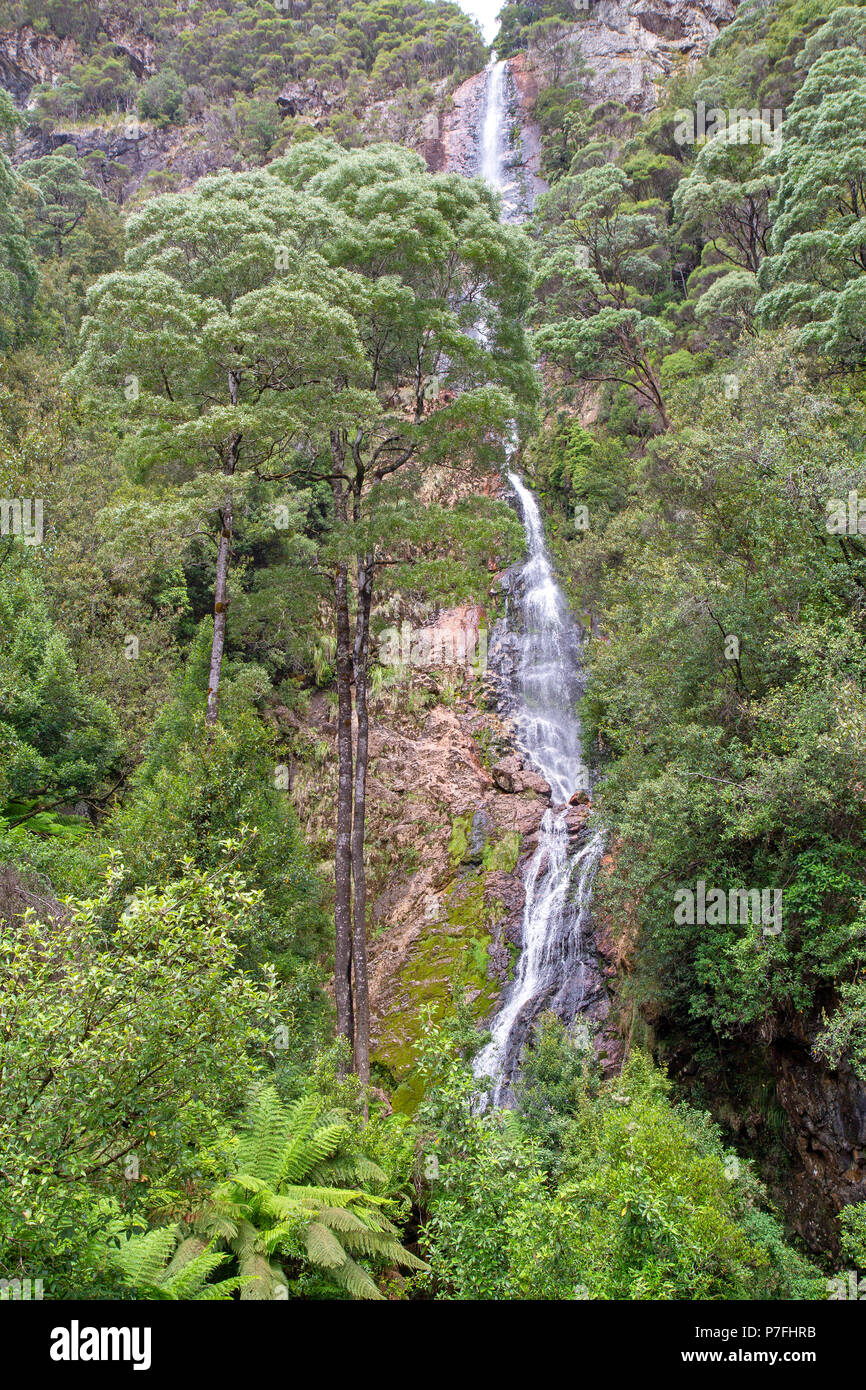 Montezuma Falls, the tallest waterfall in Tasmania Stock Photo - Alamy