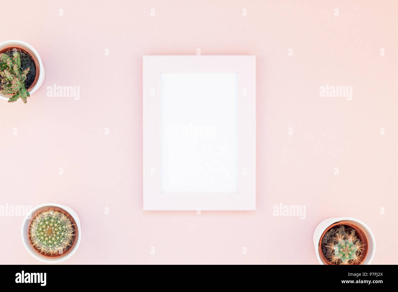 Creative flat lay overhead top view small pots with decorative cactuses ...