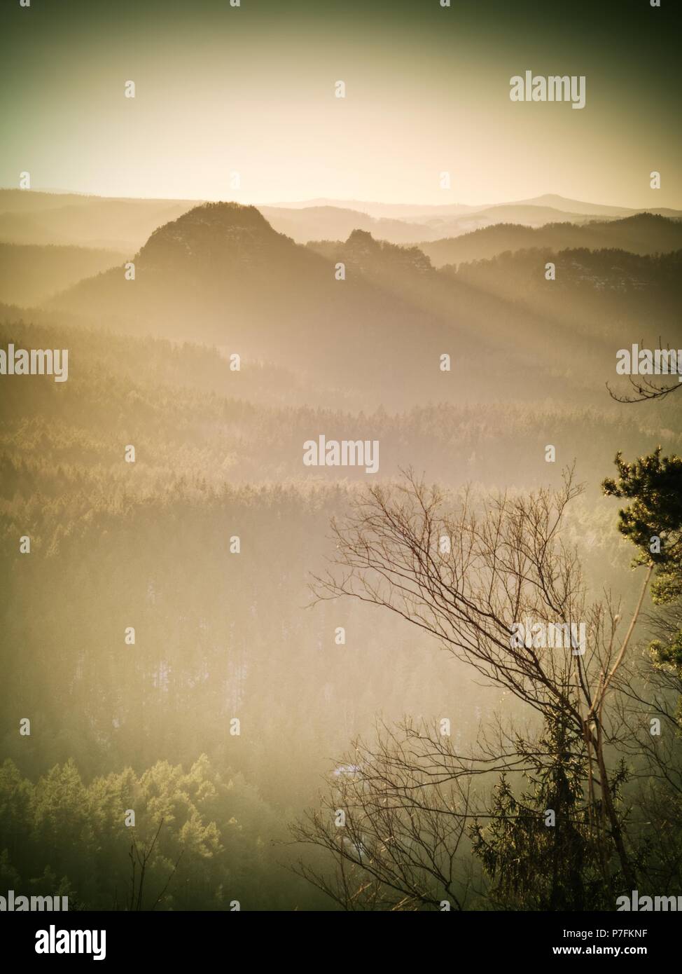 Spring morning nature. The cracked sandstone cliff above forest valley ...