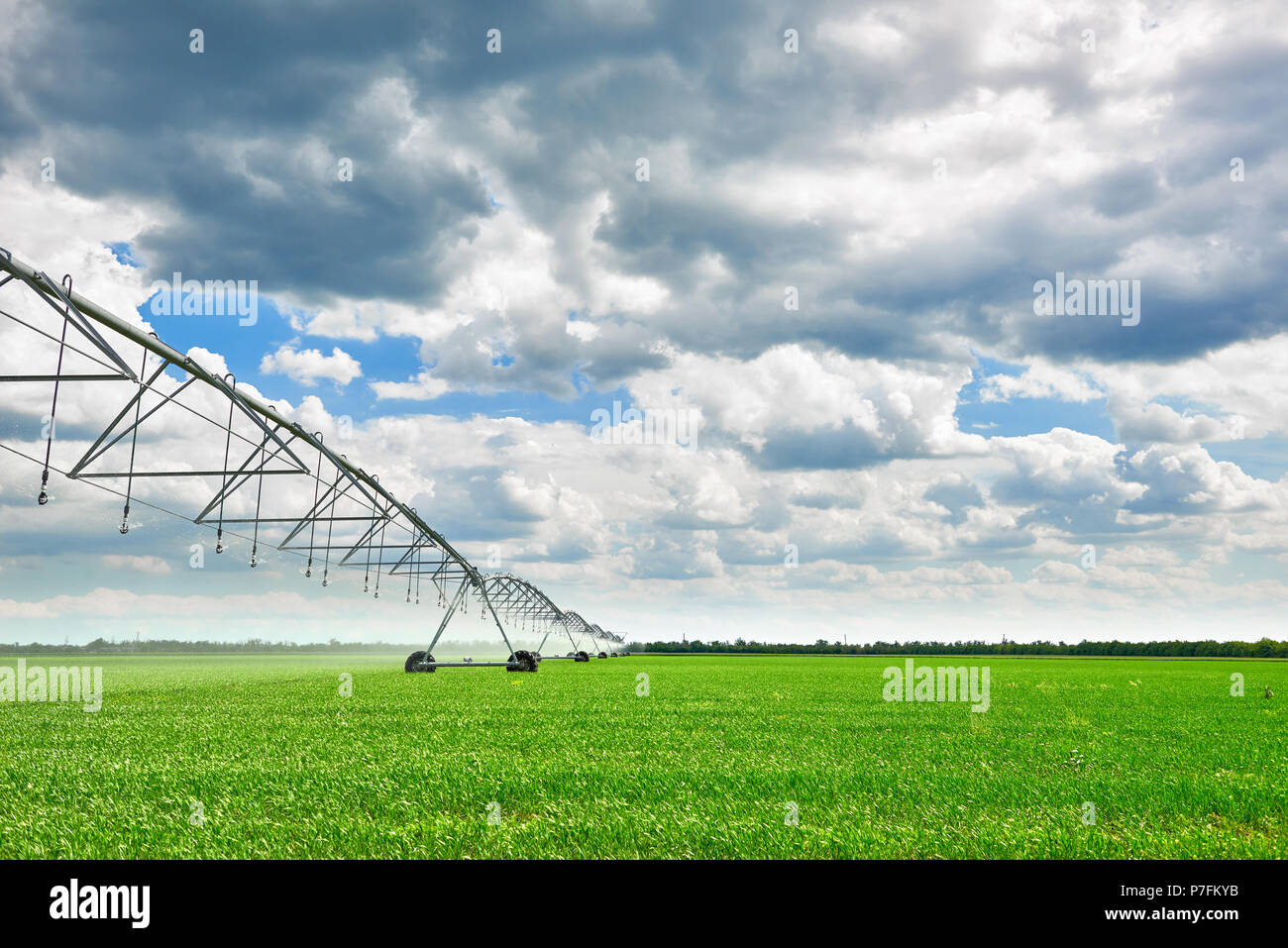 irrigation machine watering agricultural field with young sprouts ...