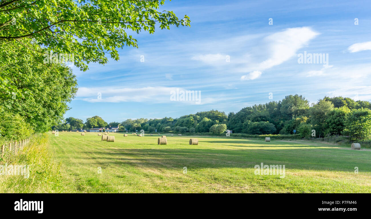 Medowside hi-res stock photography and images - Alamy