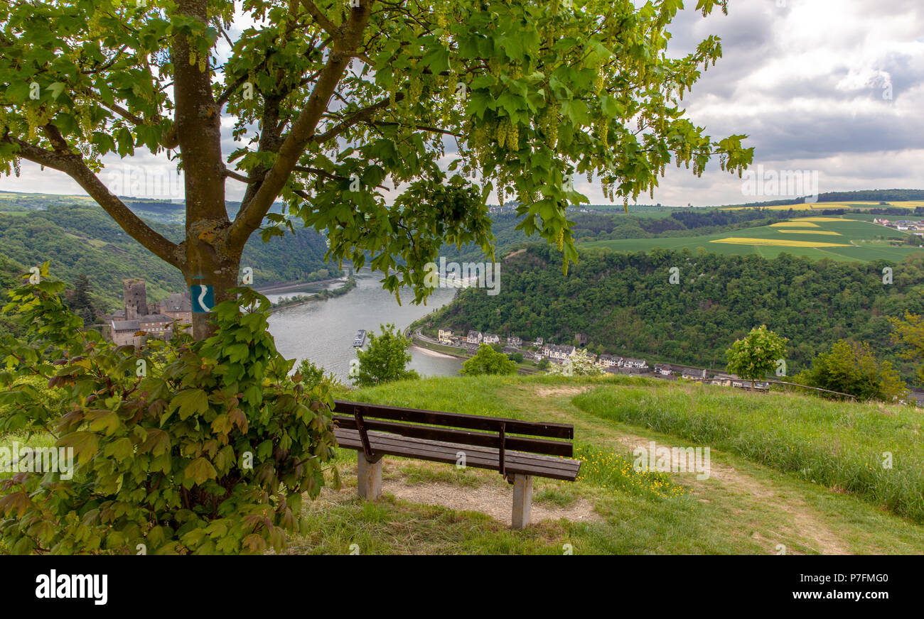 Rheinsteig hiking trail at sankt Goarshausen Rhine Valley landscape ...