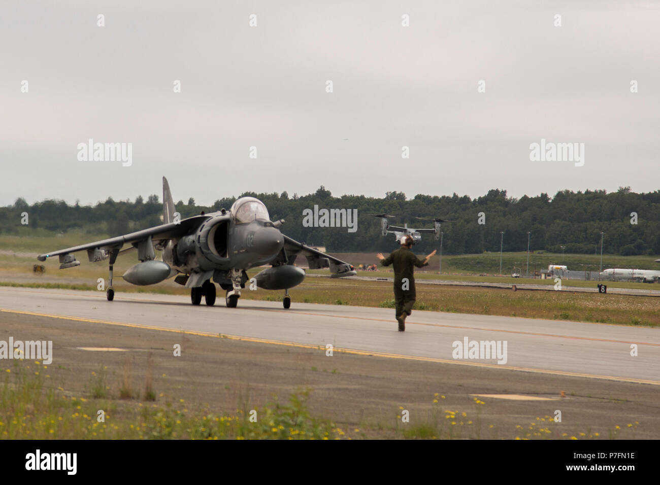 Marine Attack Squadron (VMA) 214, AV-8B Harriers arrive at Joint Base ...