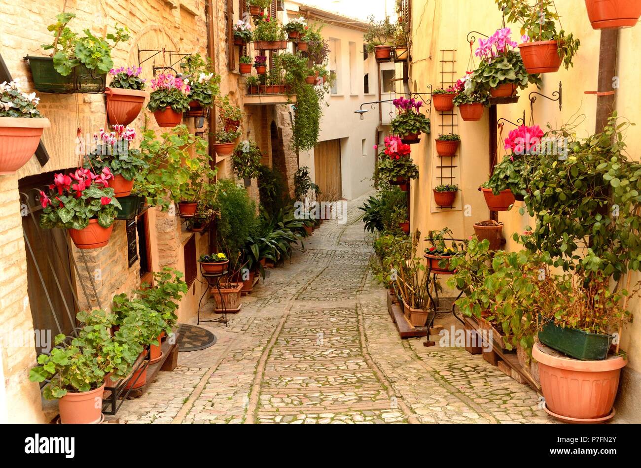 View of Spello in Umbria, Italy. Famous for narrow lanes and balconies ...