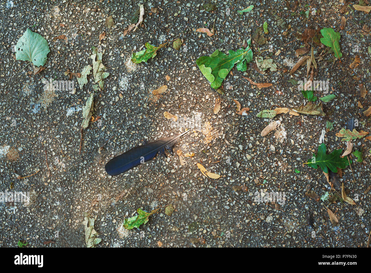 Details and texture of an old asphalt from town park Stock Photo - Alamy