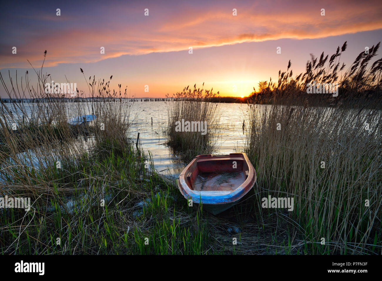 Boat and reeds hi-res stock photography and images - Alamy
