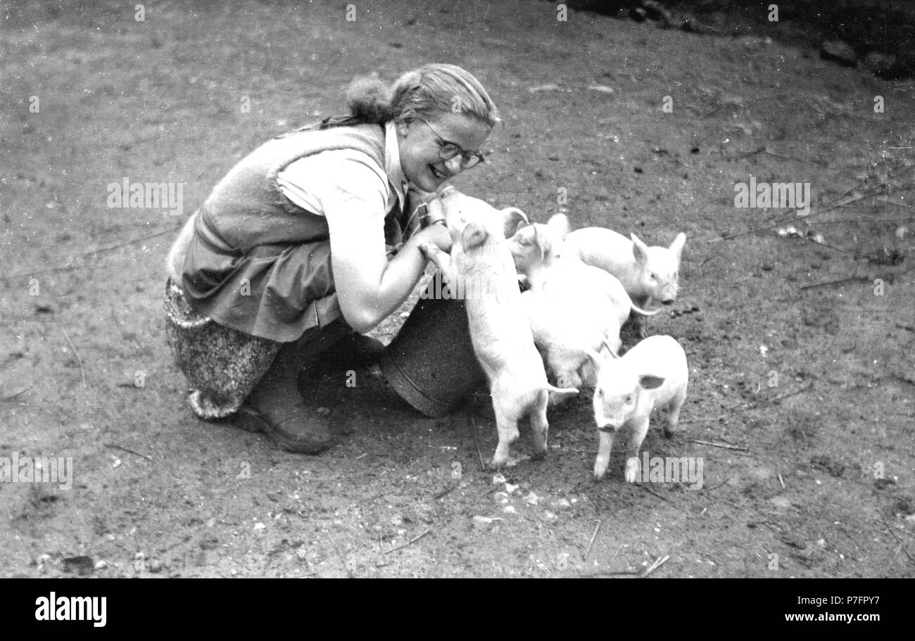 Farming 1950s Stock Photos & Farming 1950s Stock Images - Alamy