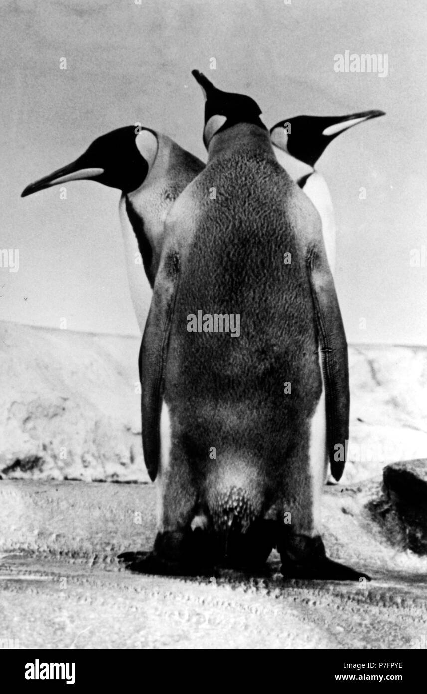 Three directions hi-res stock photography and images - Alamy