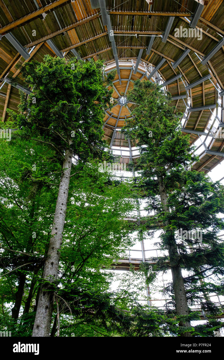 Tree tower, tree top path Bavarian Forest, Neuschönau, Bavarian Forest ...
