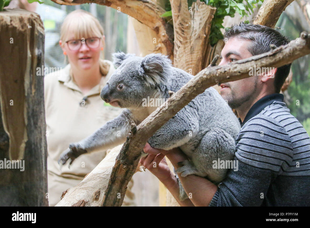 Leipzig, Germany. 06th July, 2018. The French animal keeper Tom Collins ...