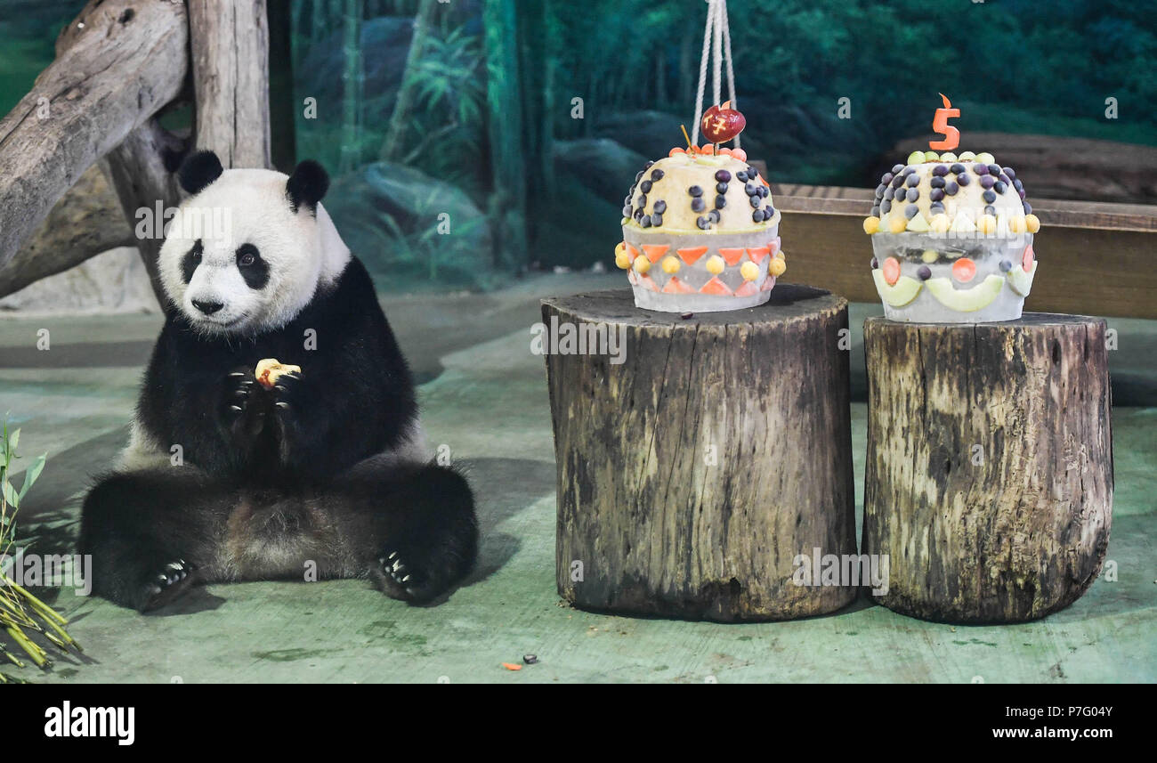 Taipei. 6th July, 2018. Photo taken on July 6, 2018 shows giant panda ...