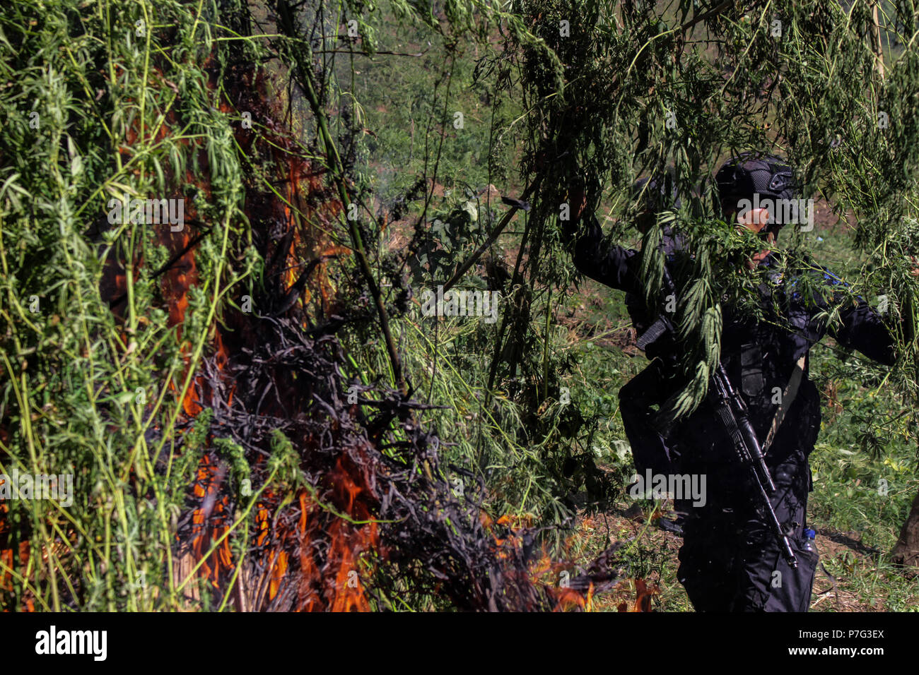 Burnt weed hi-res stock photography and images - Alamy