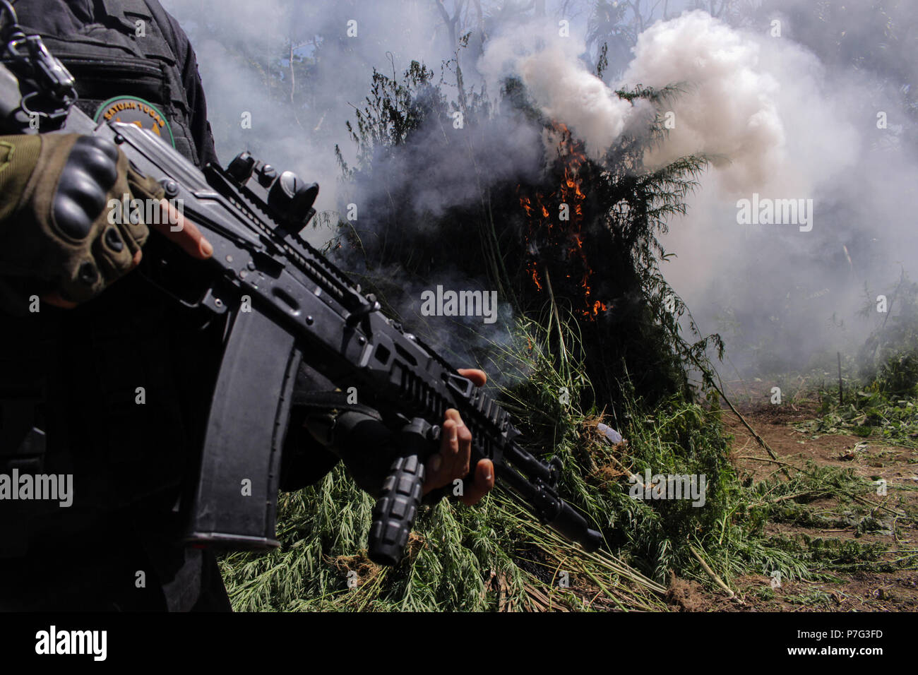 Weed destruction hi-res stock photography and images - Alamy