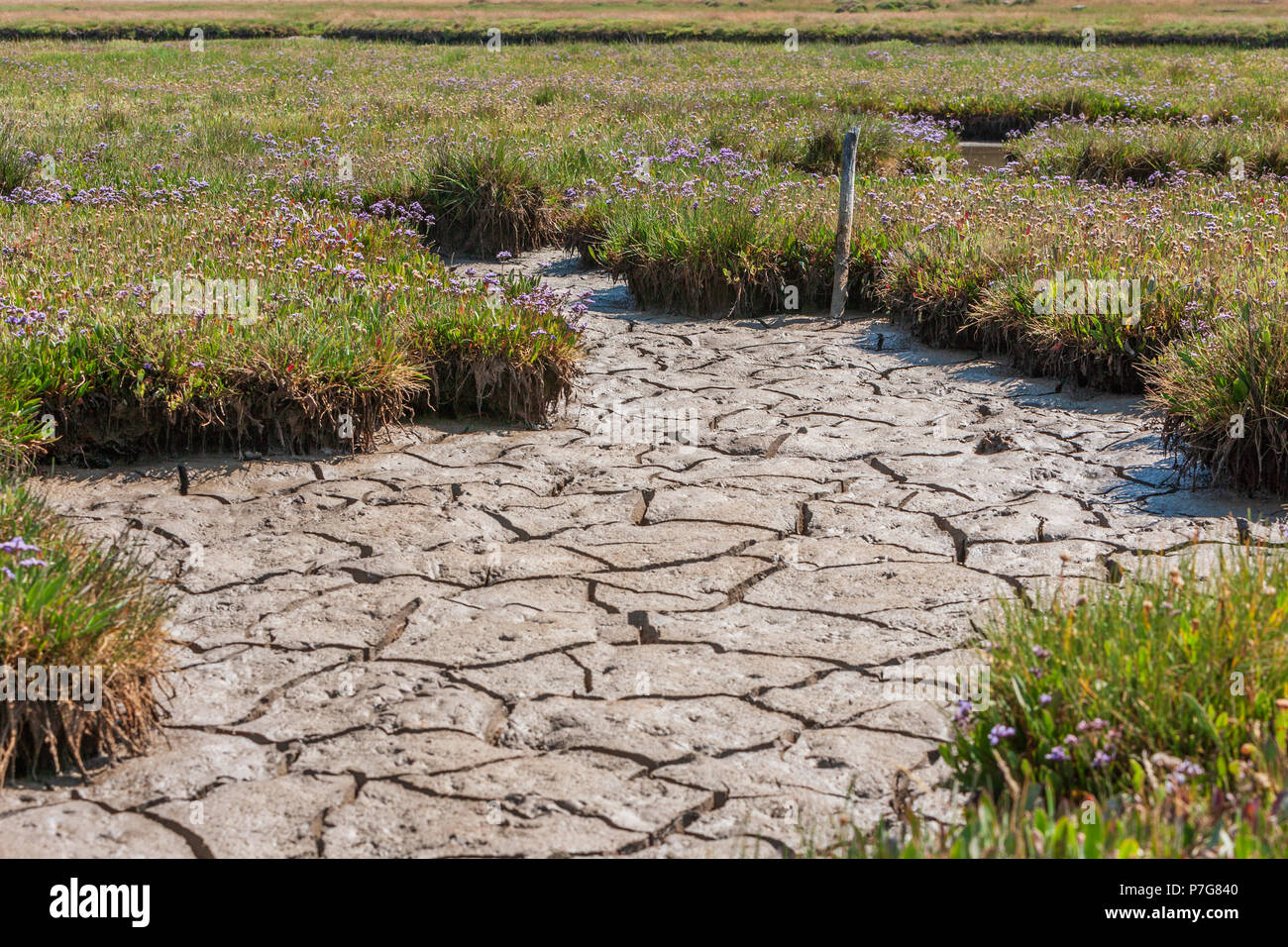Dried up river bed uk hi-res stock photography and images - Alamy