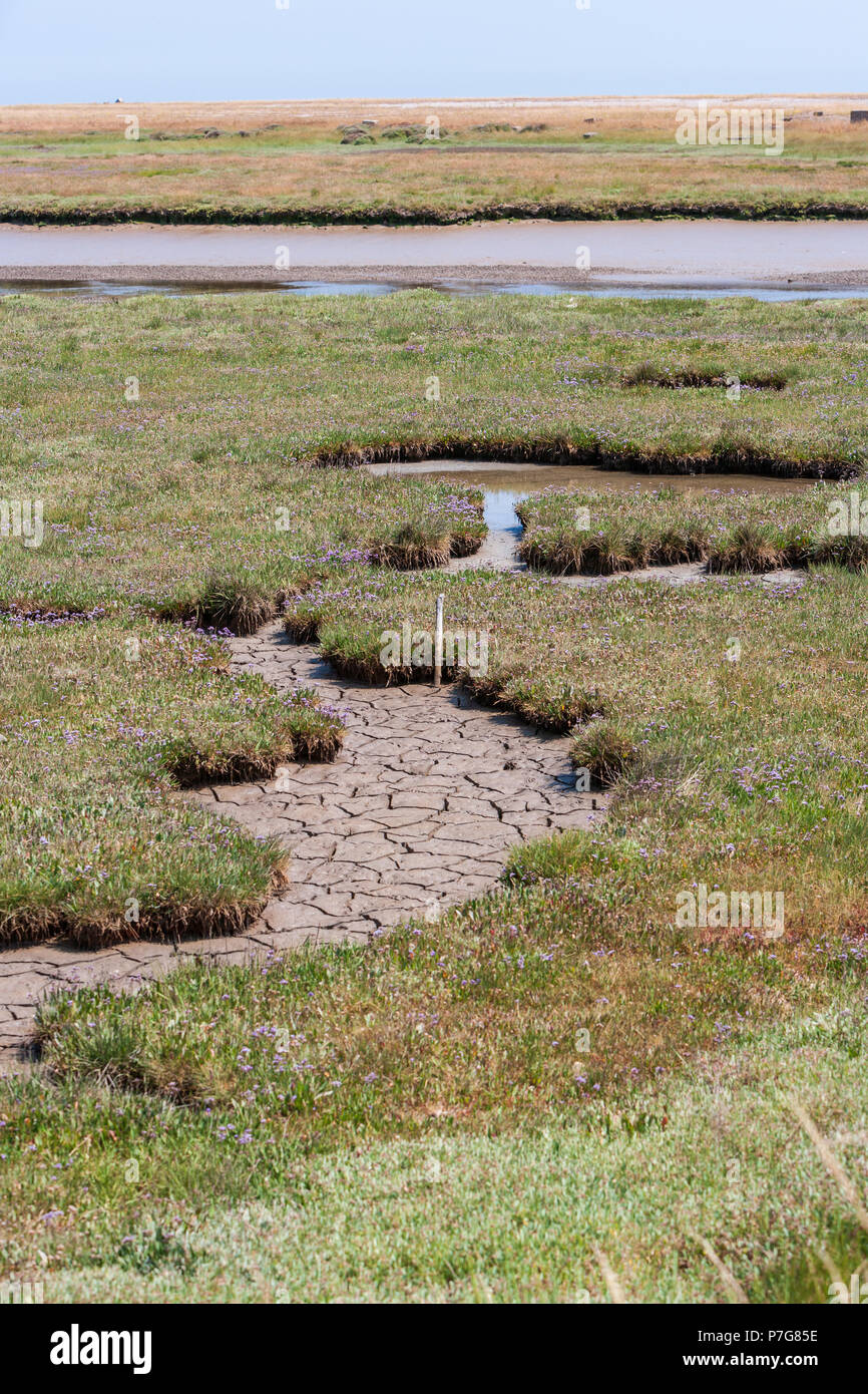 dried up marshland uk Stock Photo - Alamy
