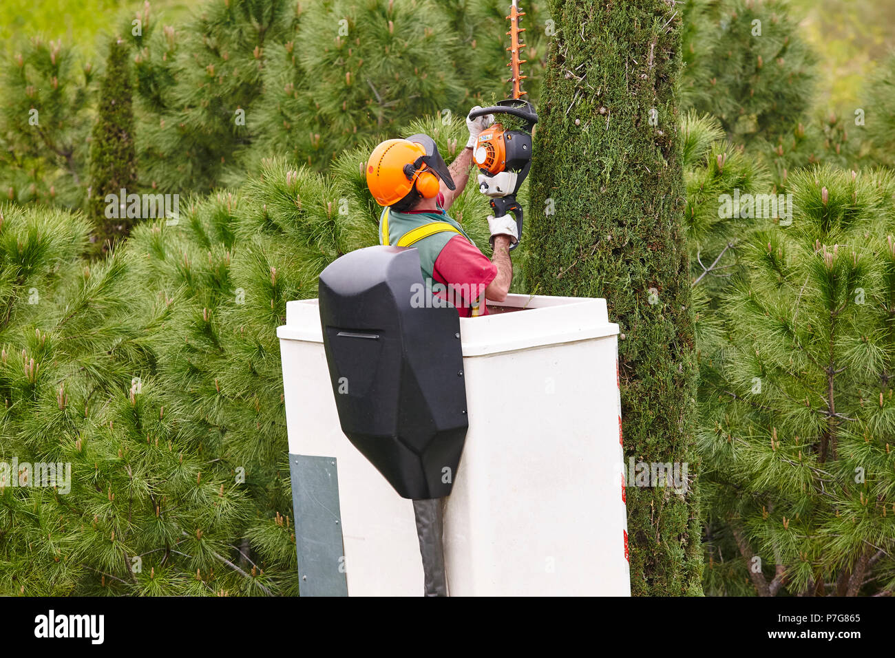 Equiped worker pruning a tree on a crane. Gardening works Stock Photo ...