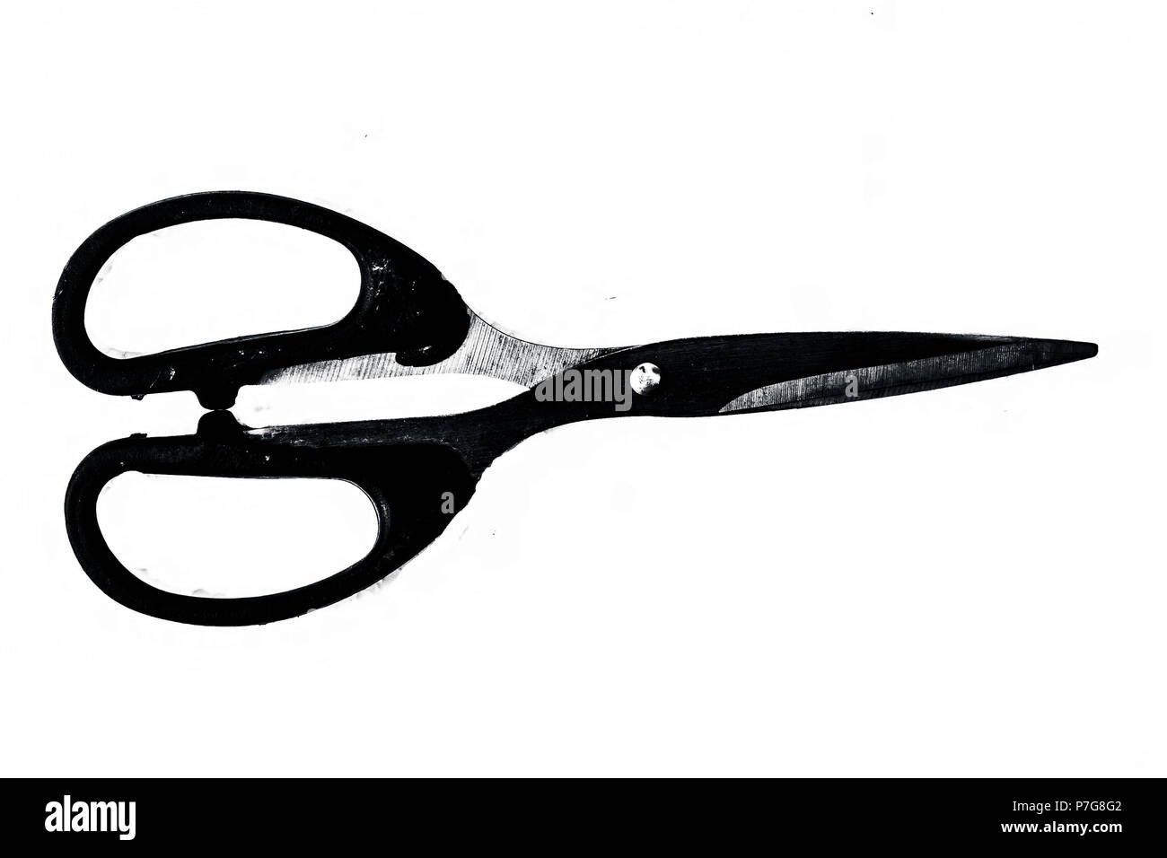 Professional scissors black handles hi-res stock photography and images ...