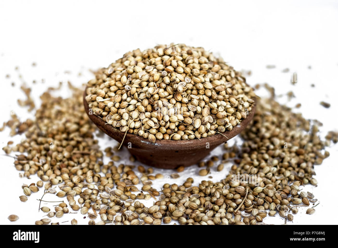 Close up of dried coriander seeds isolated on a white surface in a traditional clay bowl Stock ...