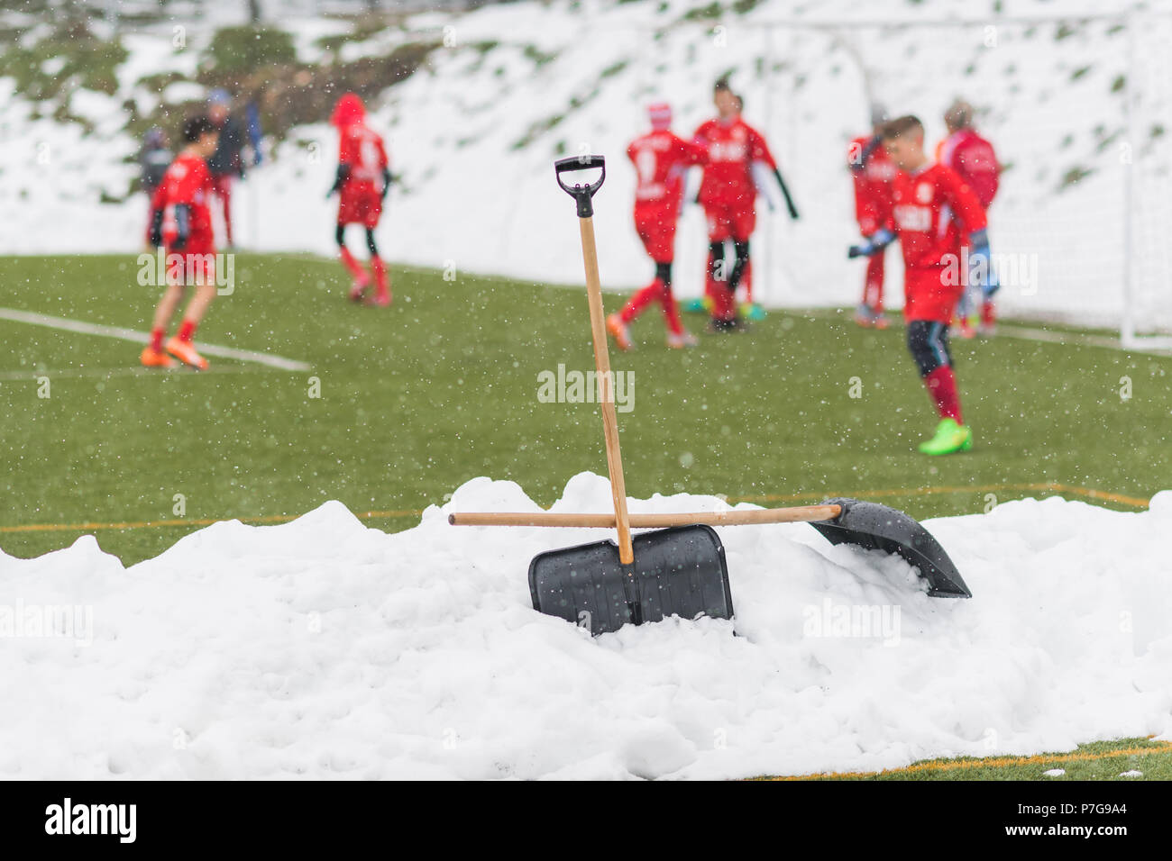 Shovels in the pile of snow after cleaning snow from the soccer field ...