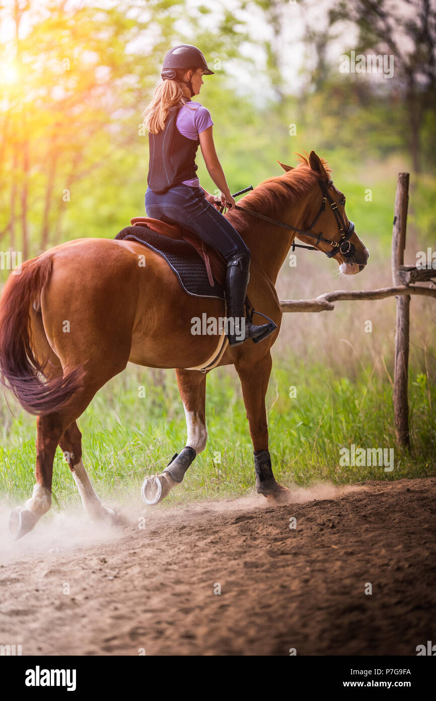 Young pretty girl - riding a horse with backlit leaves behind in spring ...