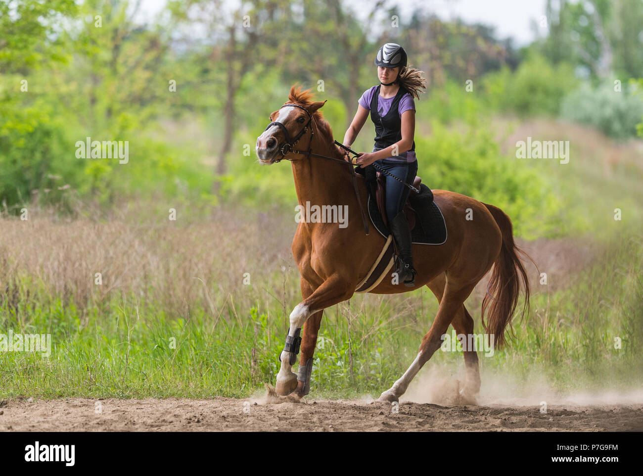 Young pretty girl - riding a horse with backlit leaves behind in spring ...