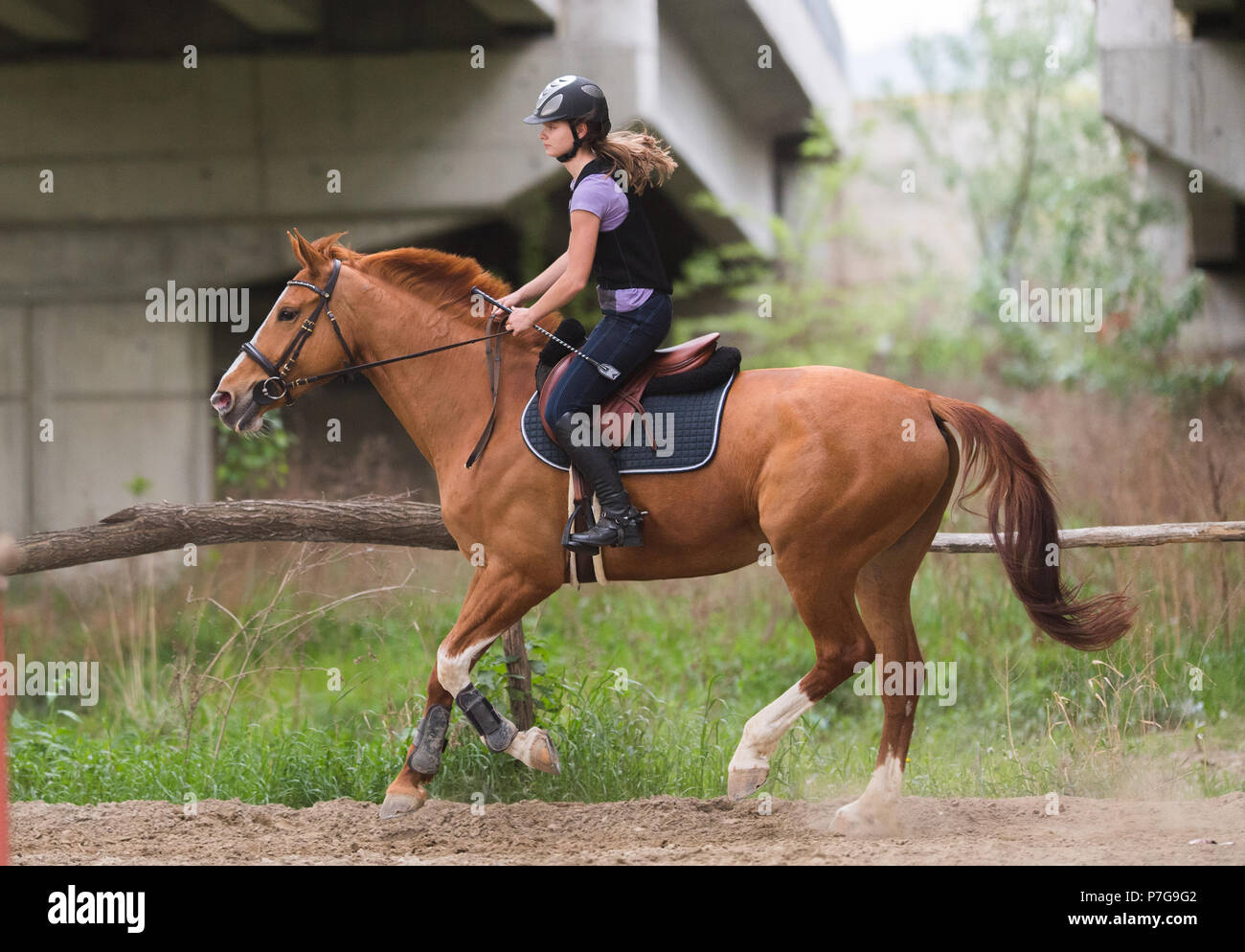 Young pretty girl - riding a horse with backlit leaves behind in spring ...