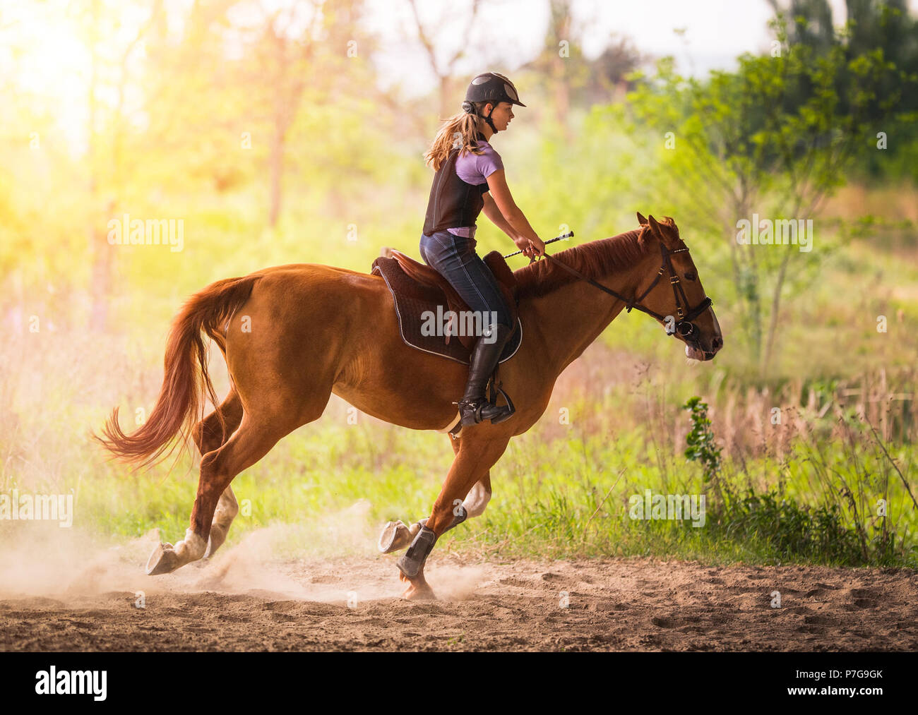 Young pretty girl - riding a horse with backlit leaves behind in spring ...