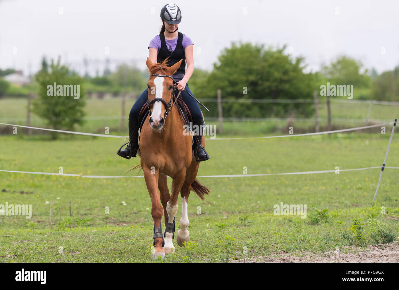 Young pretty girl - riding a horse with backlit leaves behind in spring ...