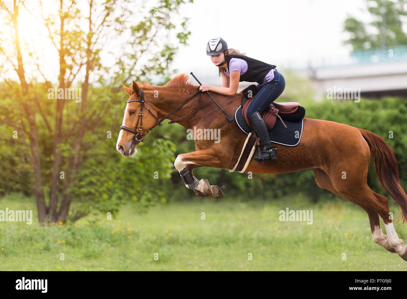 Young pretty girl - riding a horse with backlit leaves behind in spring ...