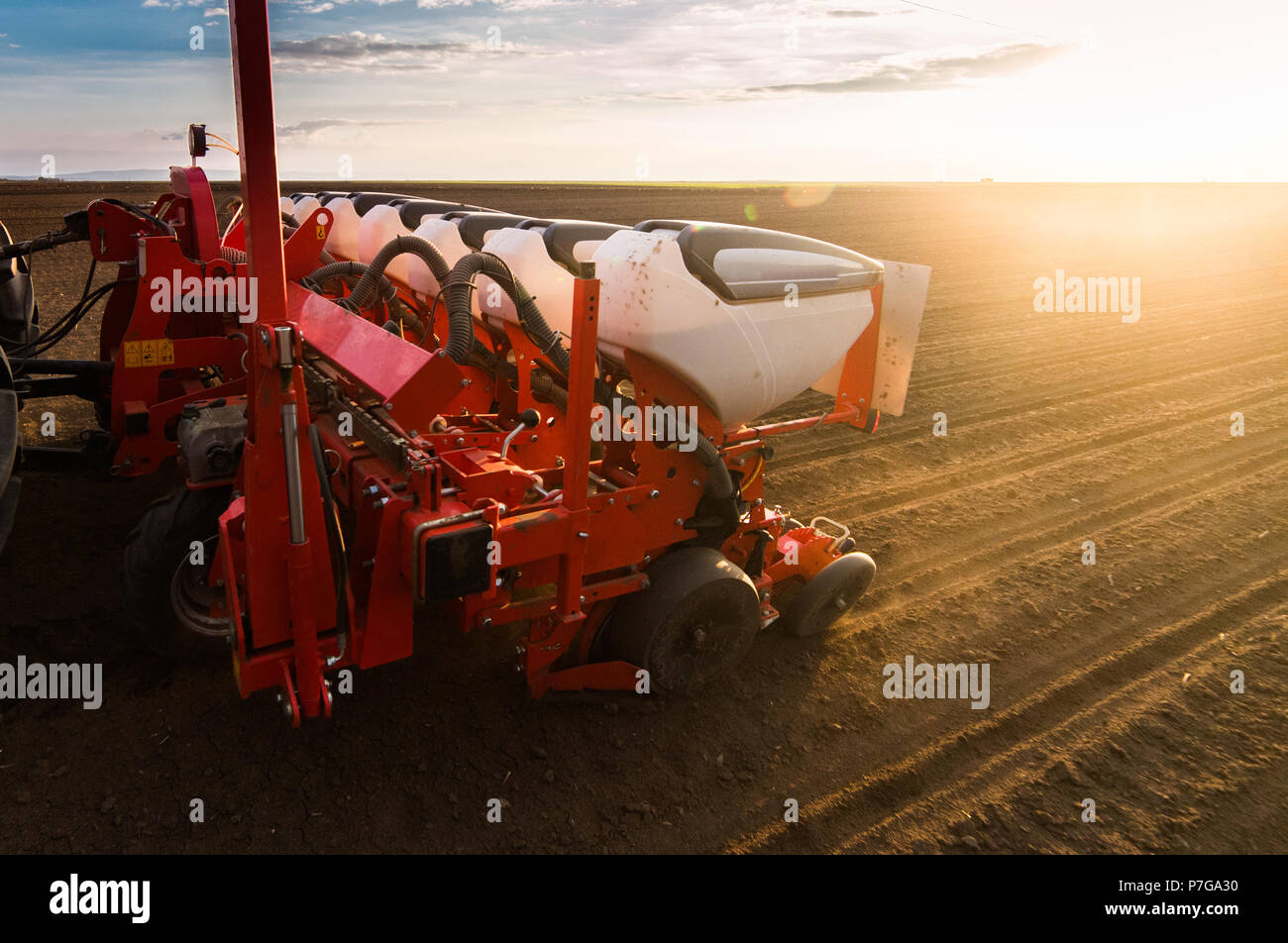 Farmer with tractor seeding - sowing crops at agricultural fields in ...